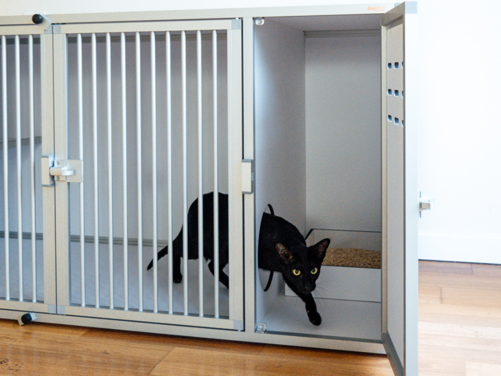 Module de pension chat - Braveur