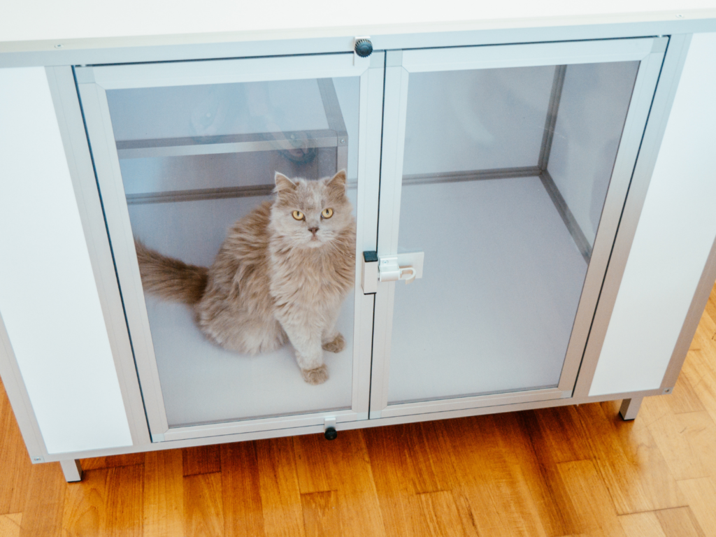 Module d'élevage chat - Braveur