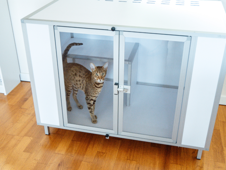 Module d'élevage chat - Braveur